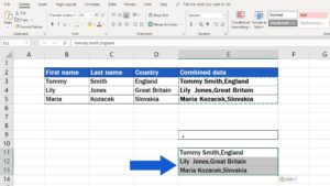 How to Copy And Paste Values Without Formula in Excel