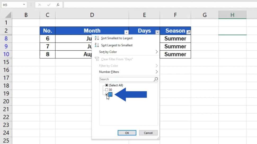 How to Create Filter in Excel