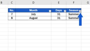 How to Clear or Remove Filter in Excel