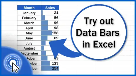 Try out Data Bars in Excel for clear graphical data representation