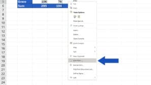 How to Insert Comment and Note in Excel