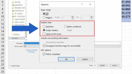 How to Convert an Excel File into PDF