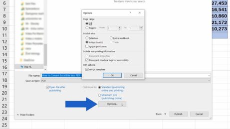 How to Convert an Excel File into PDF