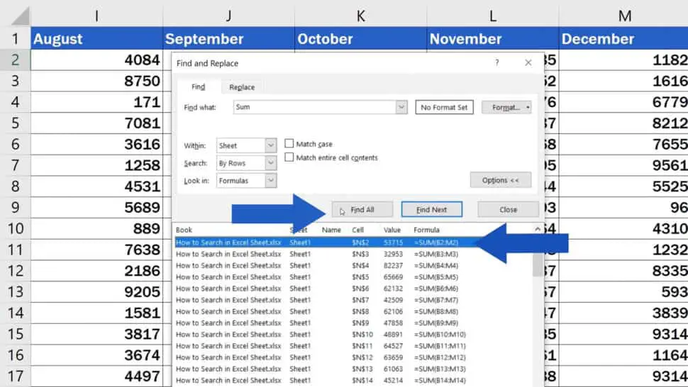 How to Search in Excel Sheet