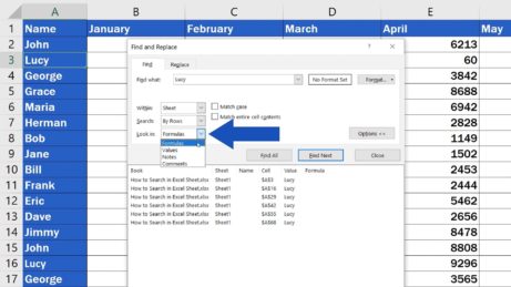 How to Search in Excel Sheet