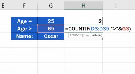 How to Use the COUNTIF Function in Excel