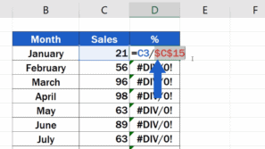 How to Use Absolute Cell Reference in Excel