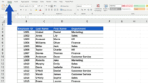 How to Replace Words in Excel