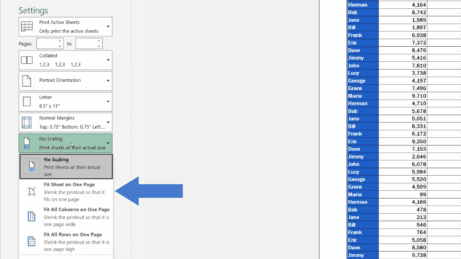 How to Print an Excel Sheet on One Page