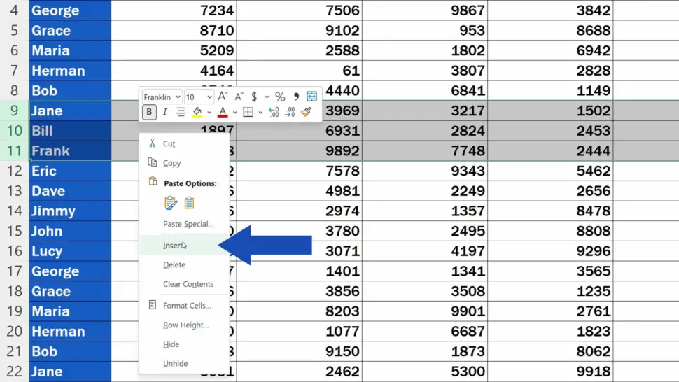 How to Insert Multiple Rows in Excel