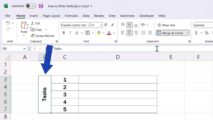 How to Write Vertically in Excel