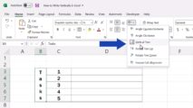 How to Write Vertically in Excel