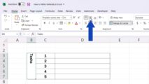 How to Write Vertically in Excel