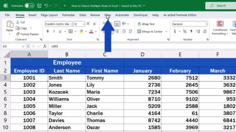 How to Freeze Multiple Rows in Excel (Quick and Easy) - EasyClick ...