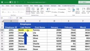 How to Freeze Multiple Rows in Excel (Quick and Easy) - EasyClick ...