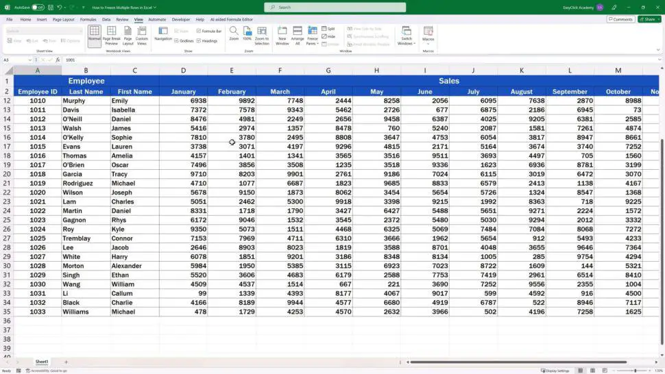 How to Freeze Multiple Rows in Excel (Quick and Easy) - EasyClick ...