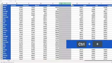 Shortcut Key to Insert a Column in Excel (Excel Shortcuts) - EasyClick ...